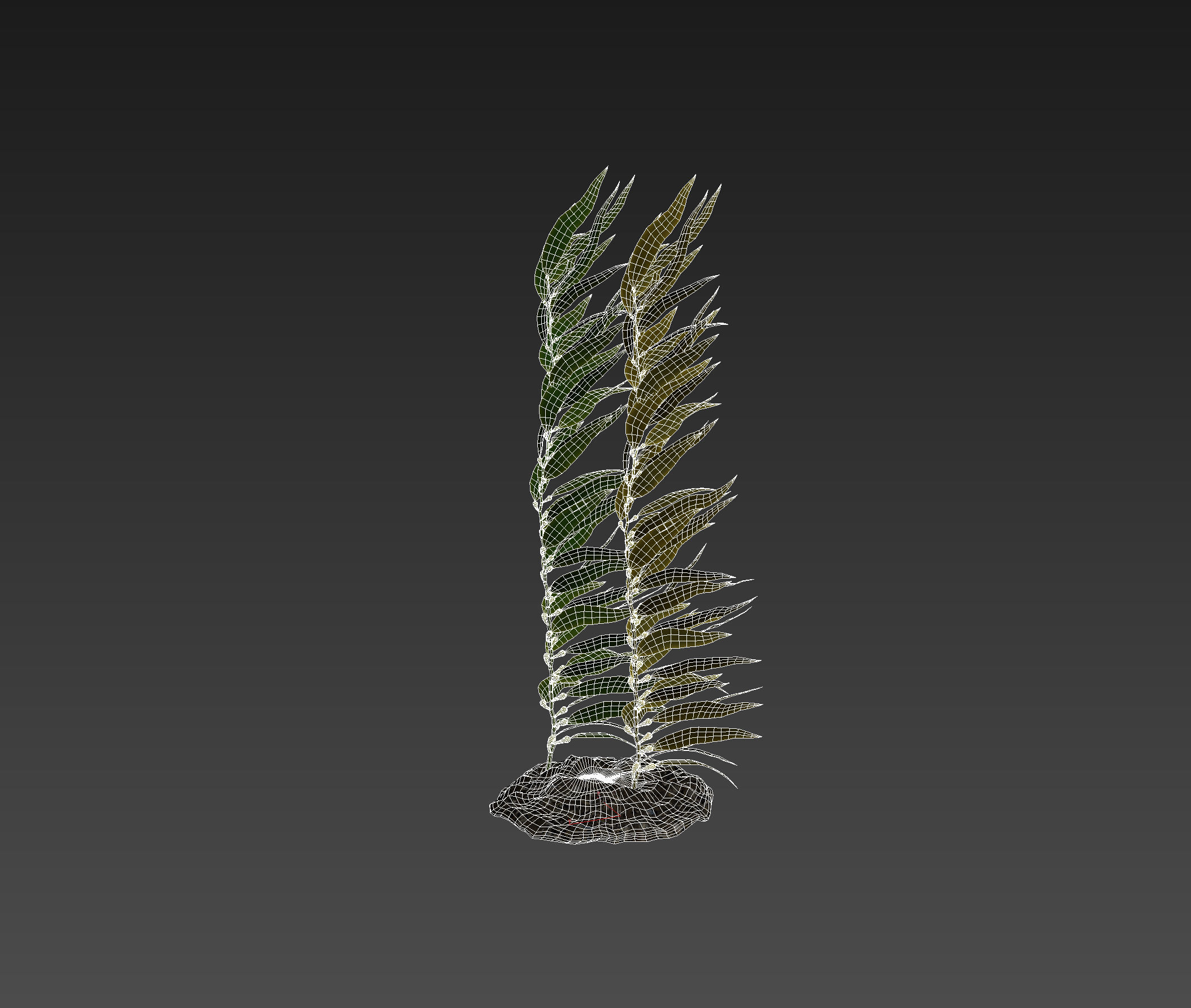 Kelp collection plant 3D model | CGTrader