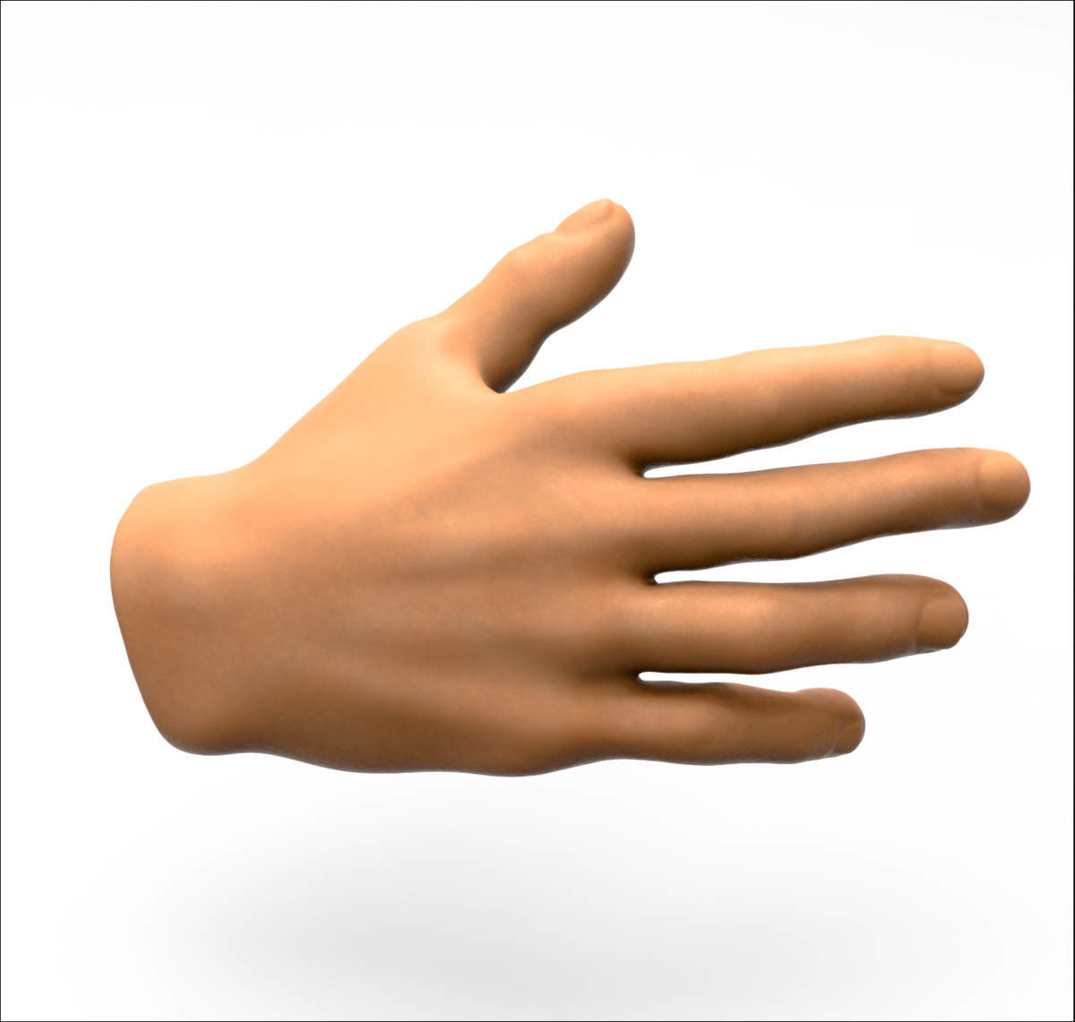 Hand human 3D model | CGTrader