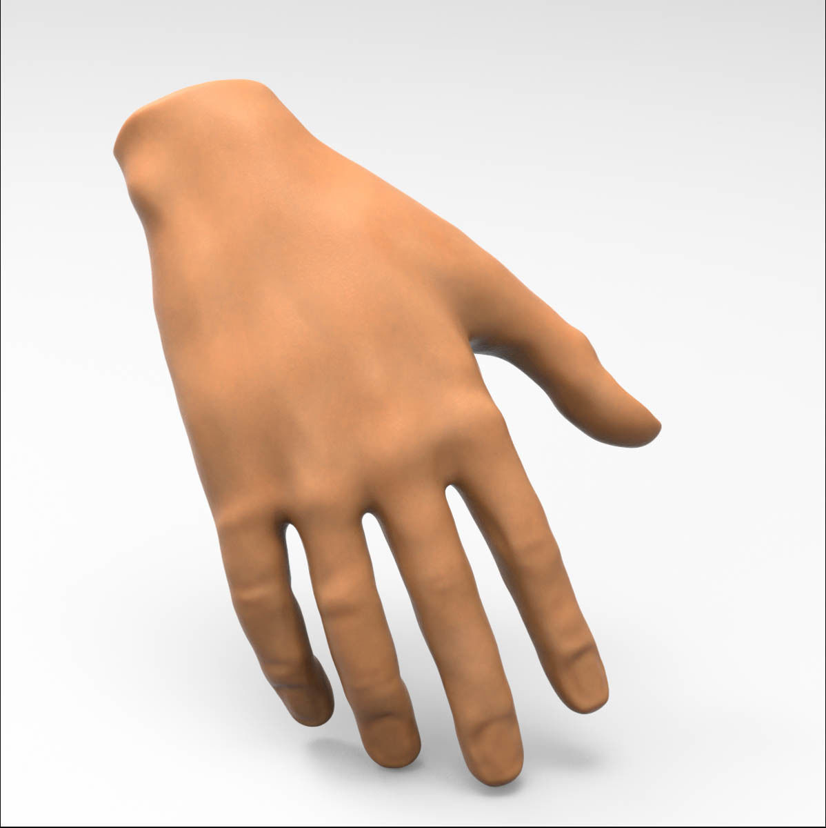Human Hand 3D model | CGTrader