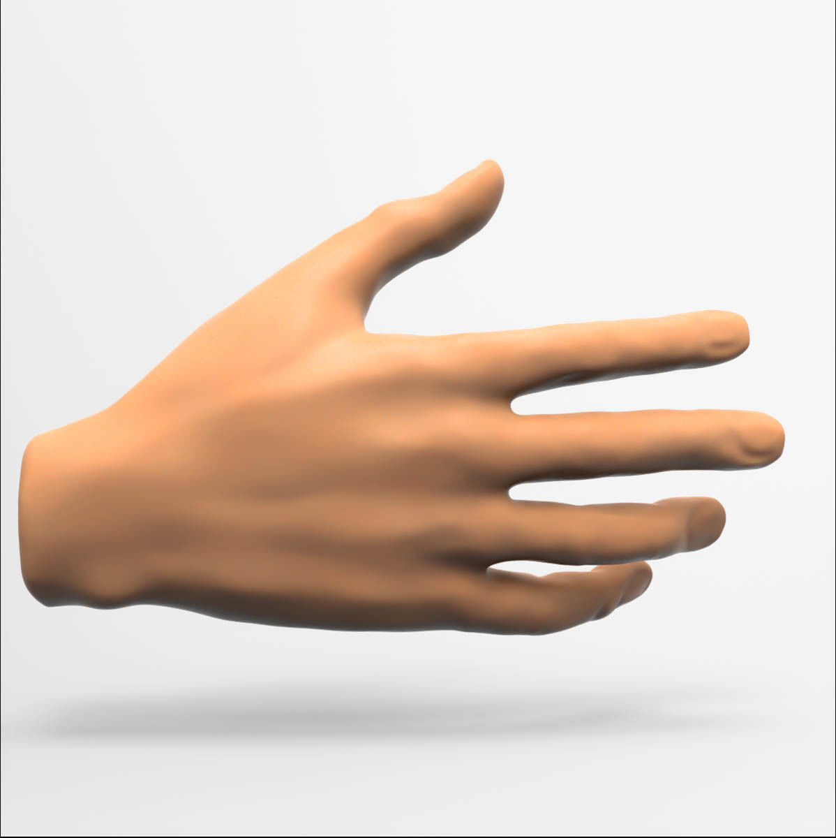 Human Hand 3D model | CGTrader