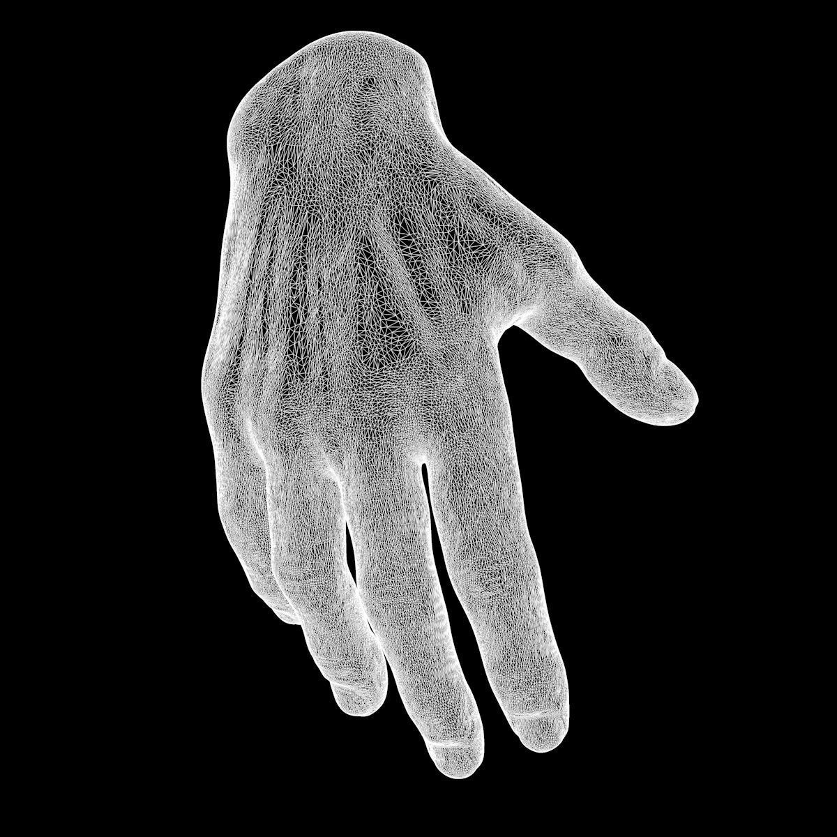 Human Hand 3D model | CGTrader