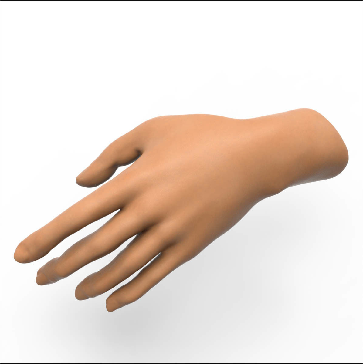 Human Hand 3D model | CGTrader