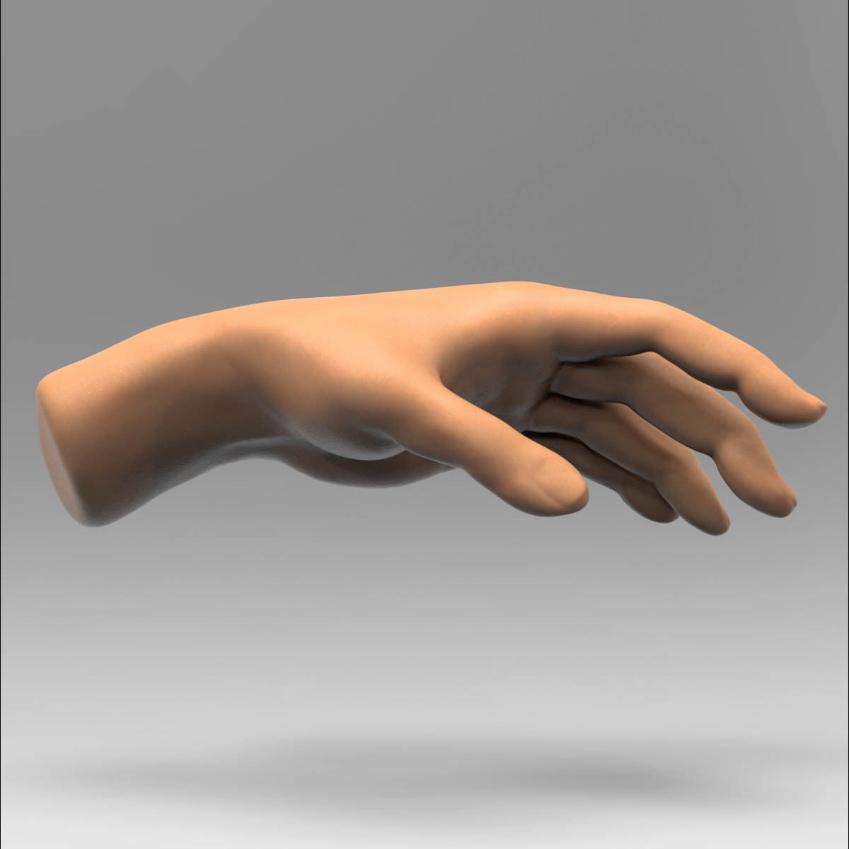Human Hand 3D model | CGTrader