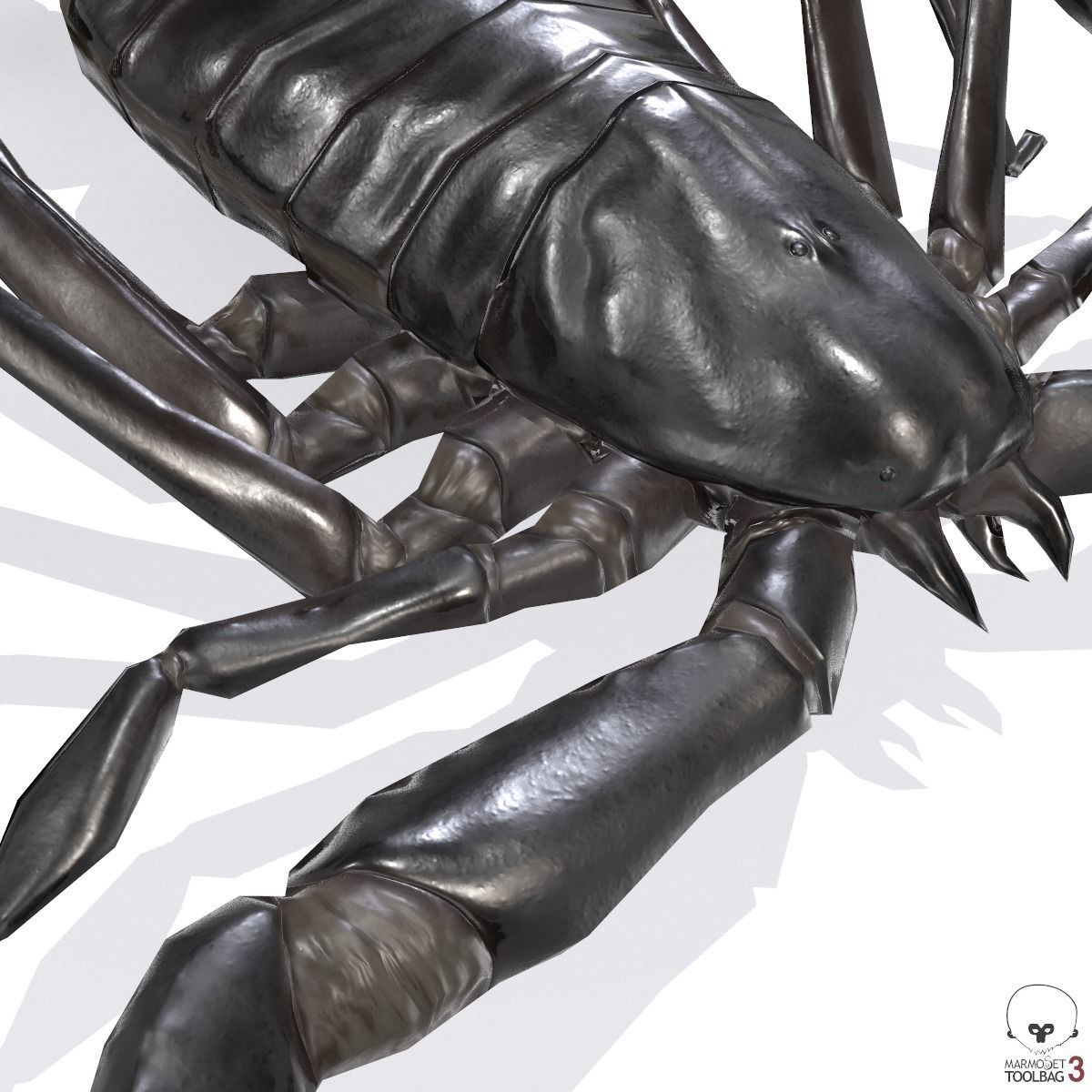 3D model Photorealistic Black Scorpion VR / AR / low-poly | CGTrader