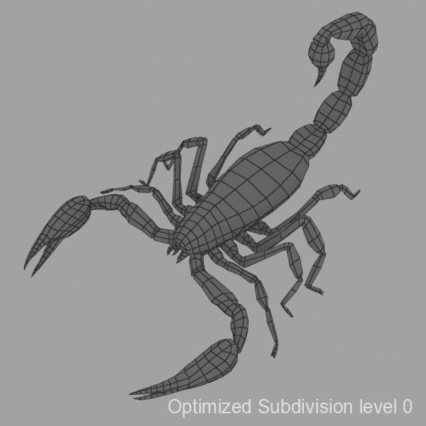3D model Photorealistic Black Scorpion VR / AR / low-poly | CGTrader