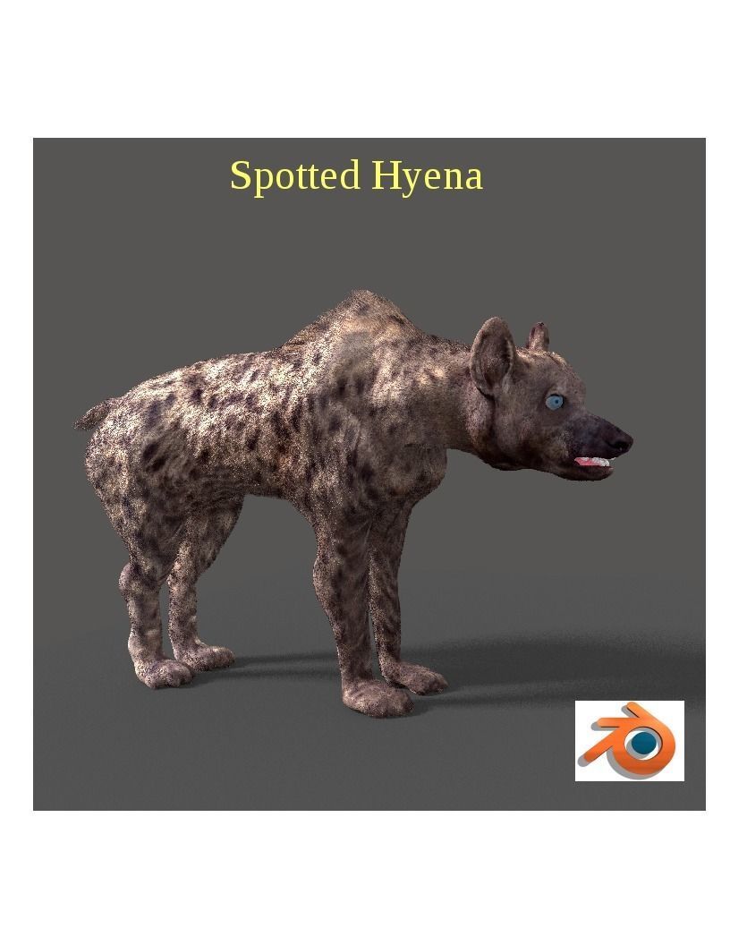 hyena 3D model | CGTrader