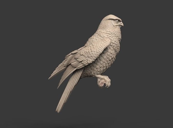 falcon 3D model 3D printable | CGTrader