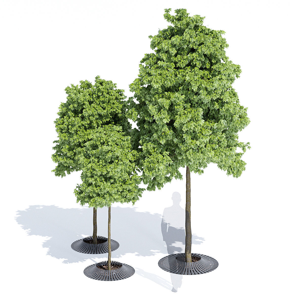 Calyx three trees 3D model | CGTrader
