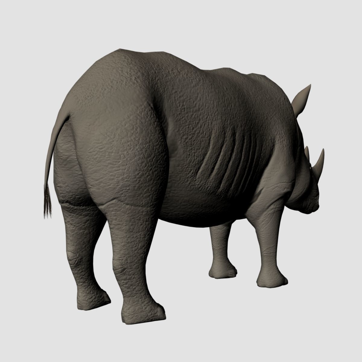 Rigged-Animated Rhino 3D model animated rigged | CGTrader
