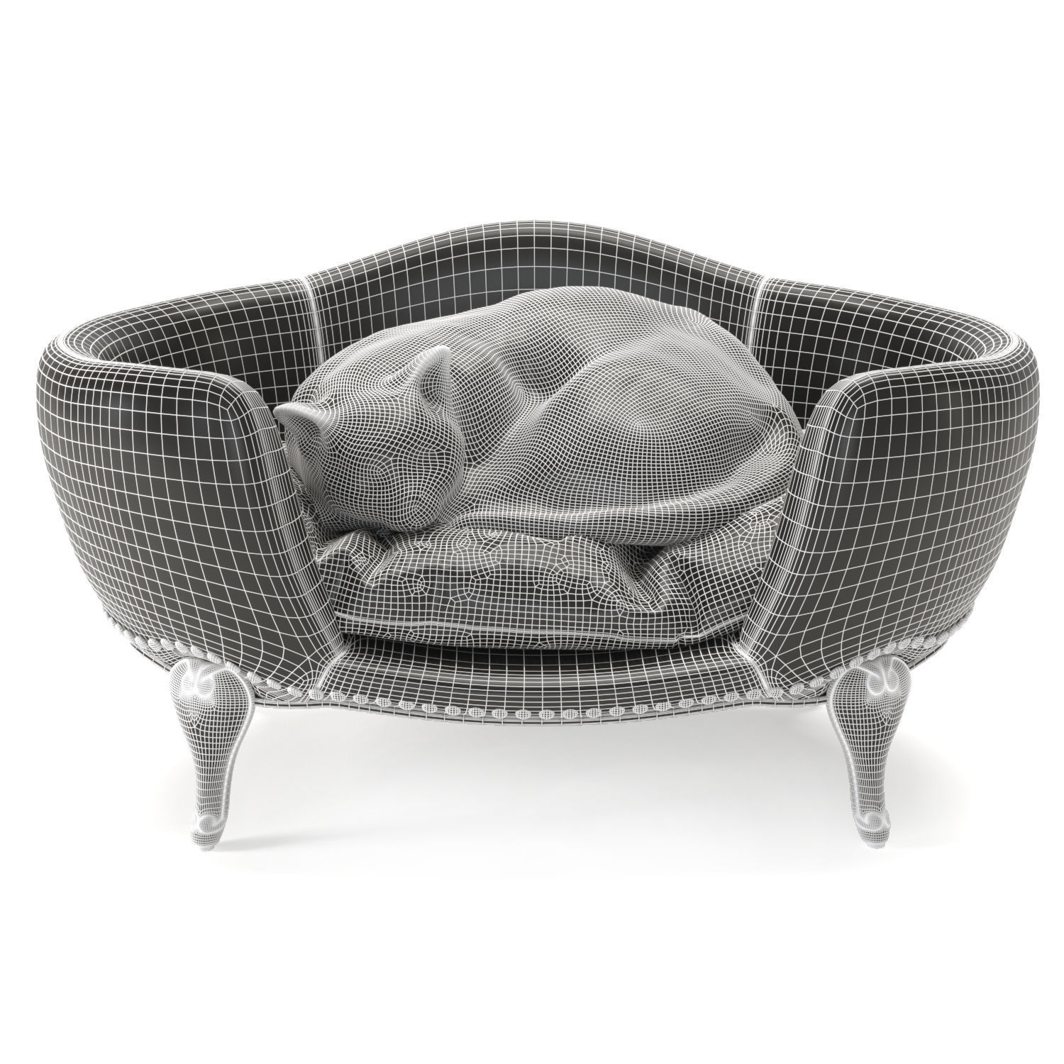 cat pet free 3D model | CGTrader