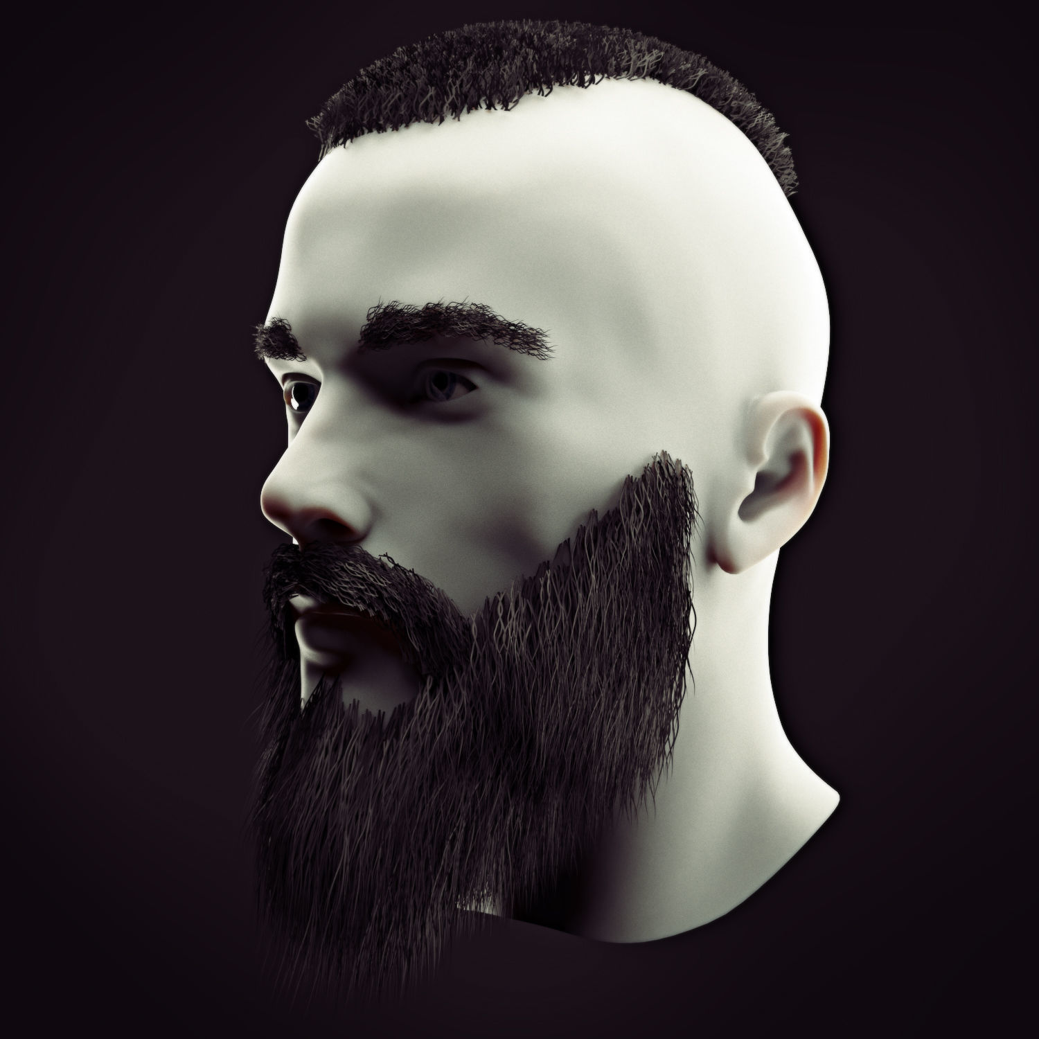 Hairstyle and Beard Low Poly 3D model | CGTrader