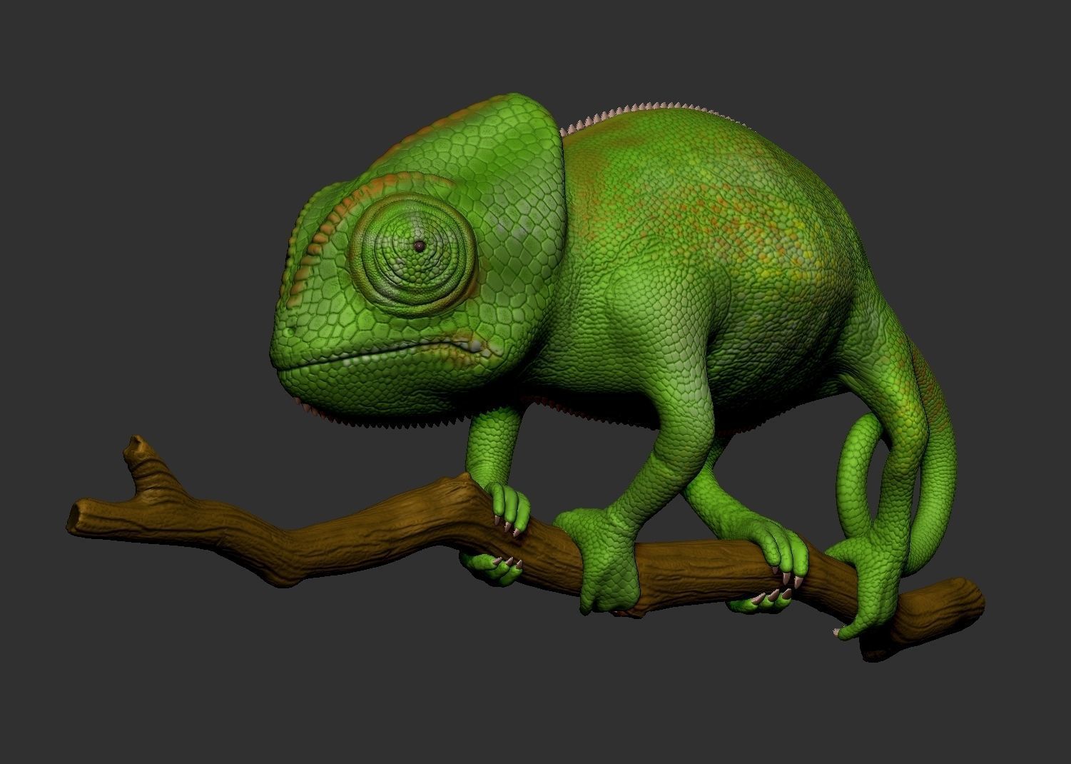 Veiled Chameleon - Hi-polygon 3D model 3D model | CGTrader