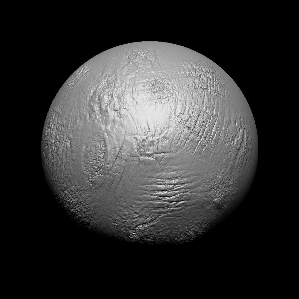 Zbrush Alpha Tree Bark Set02 Texture | CGTrader