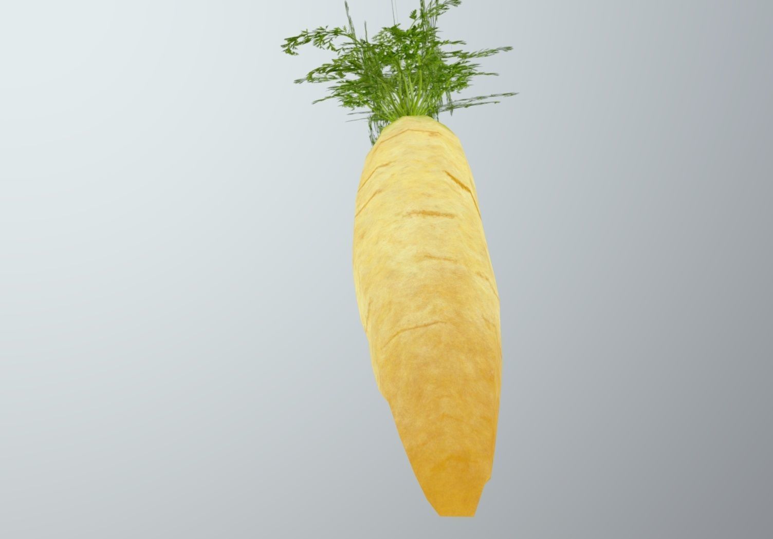 3D model White Carrot VR / AR / low-poly | CGTrader