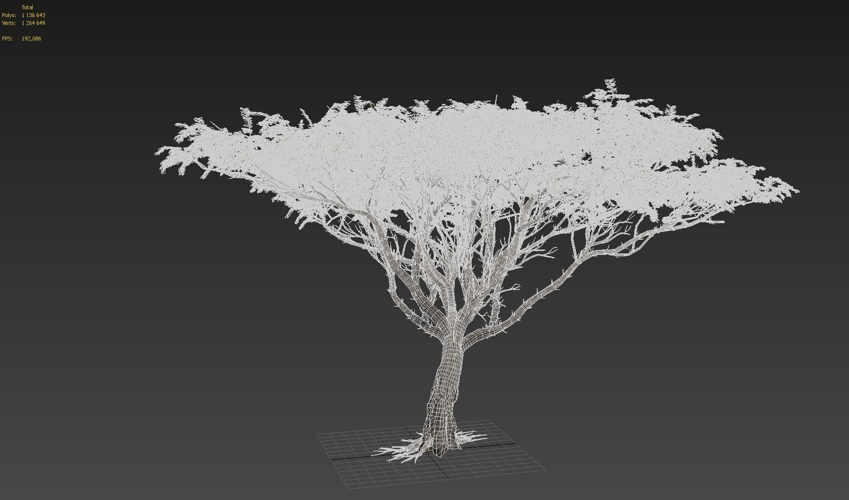 Acacia tree set 3D model | CGTrader