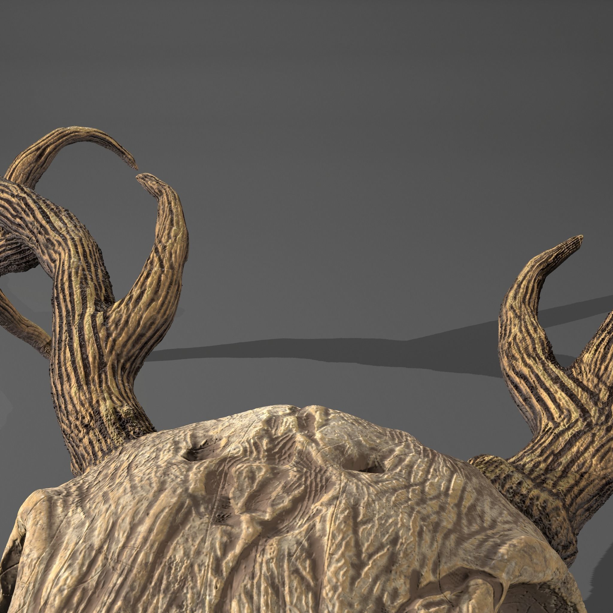 Stag Skull 3D model | CGTrader