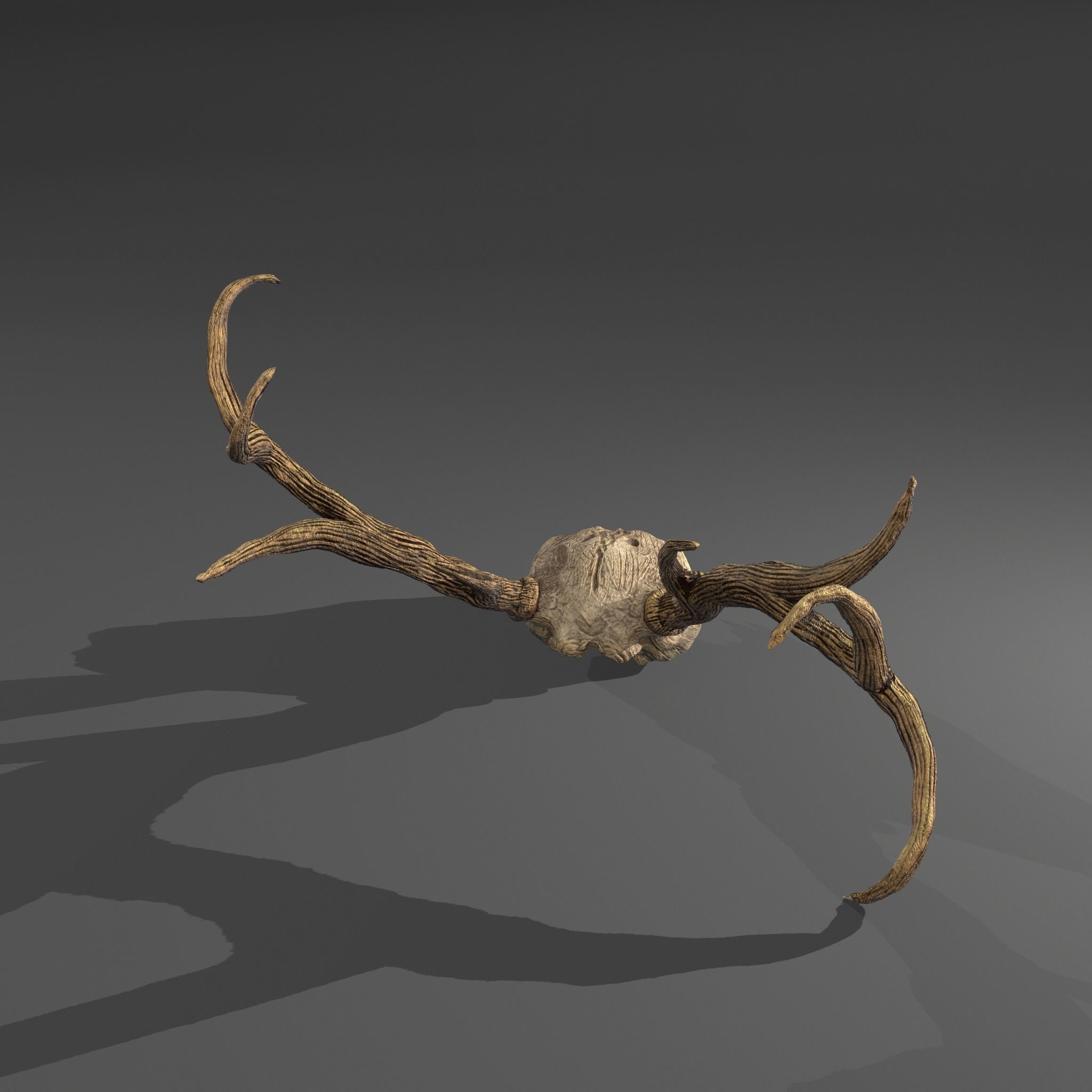 Stag Skull 3D model | CGTrader