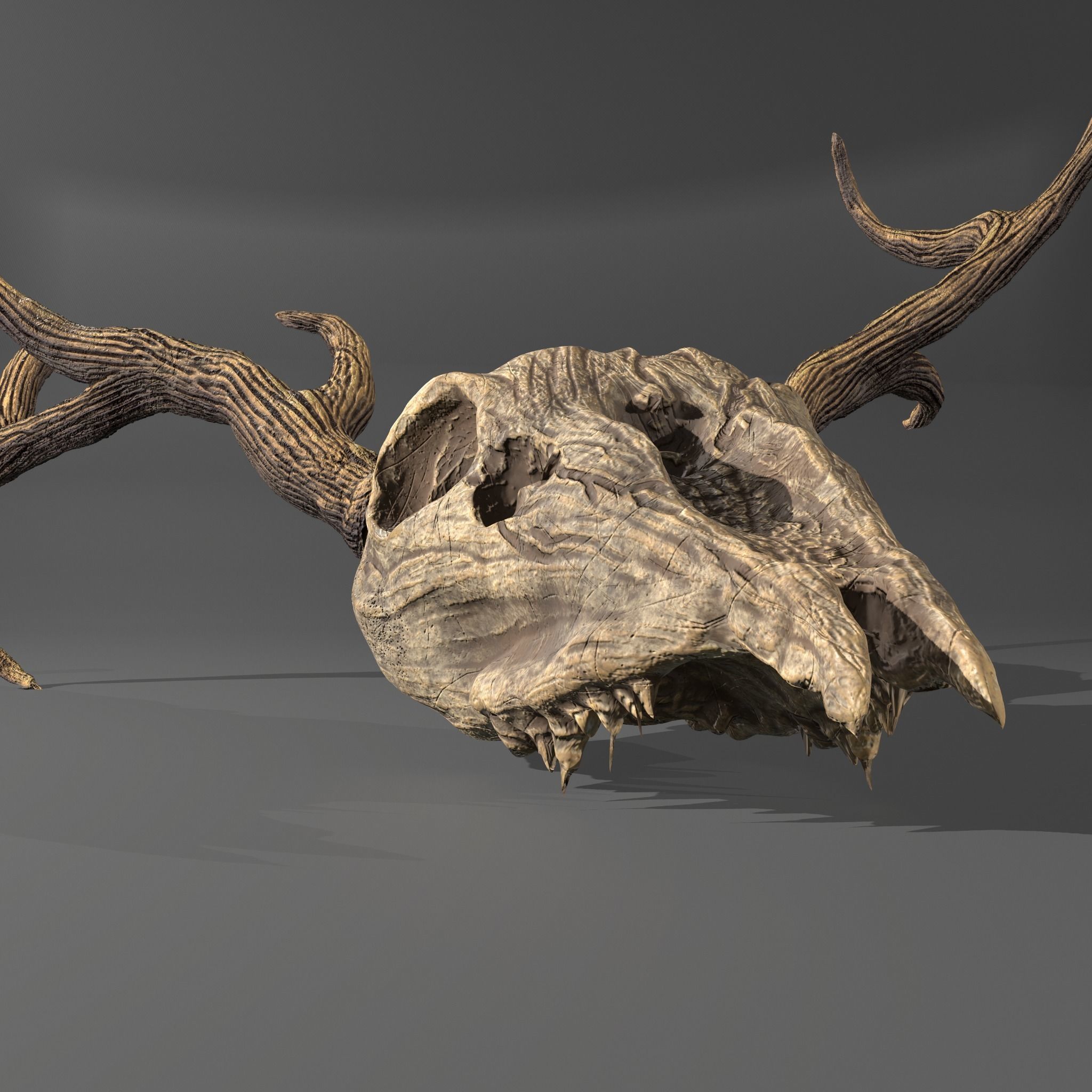 Stag Skull 3D model | CGTrader