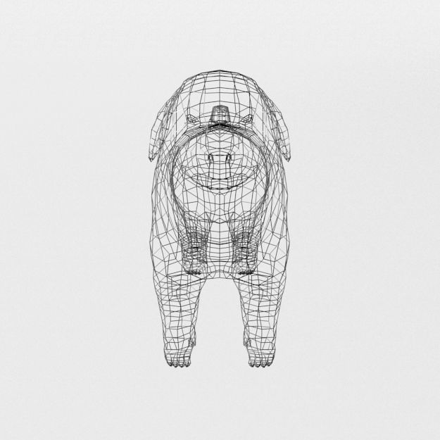 3D model Old English Sheepdog VR / AR / low-poly | CGTrader