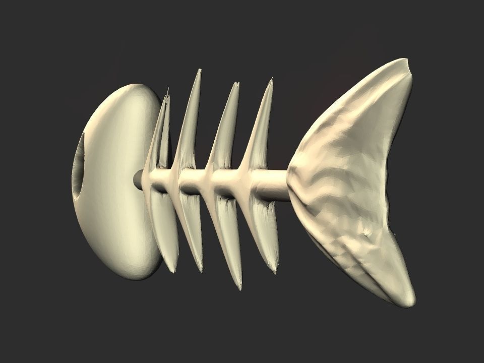 Fish skeletoon 3D print 3D model 3D printable | CGTrader