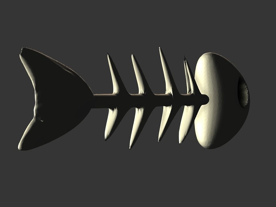 Fish skeletoon 3D print 3D model 3D printable | CGTrader