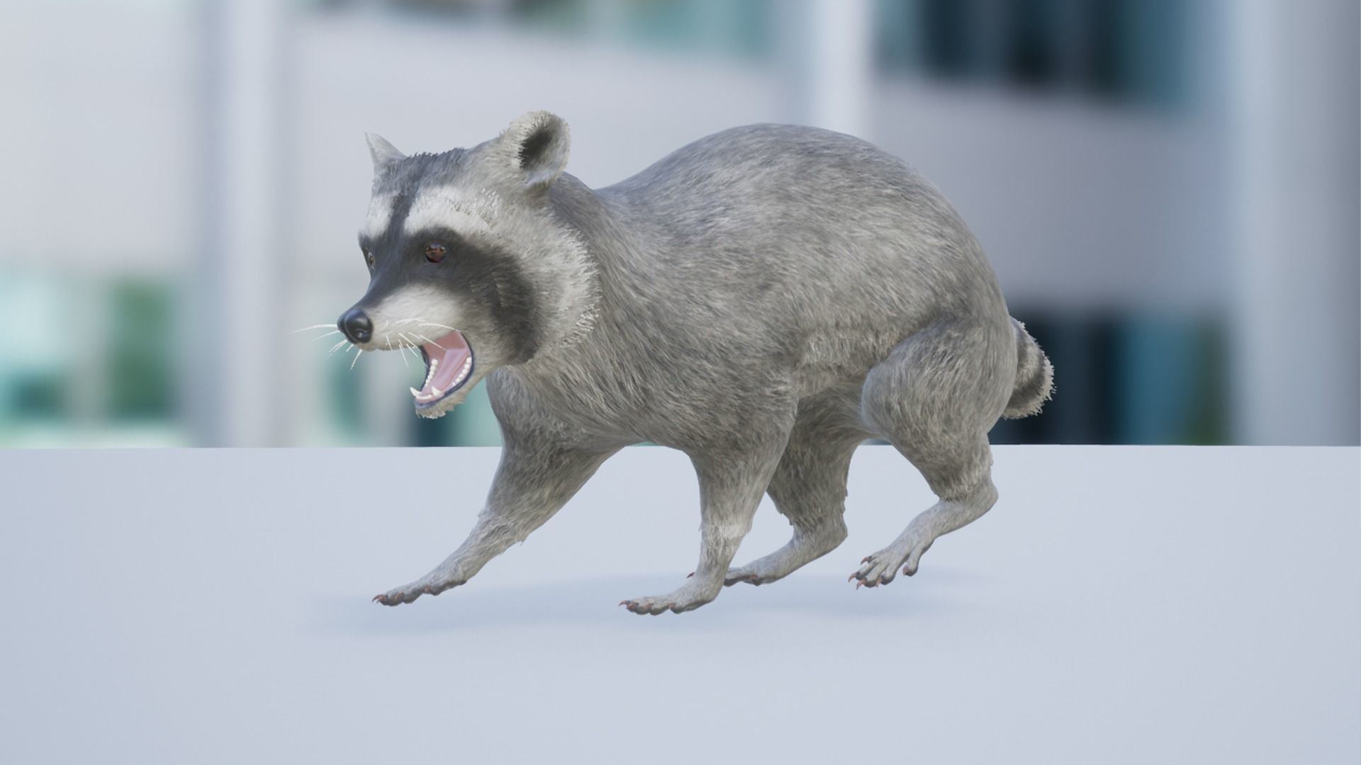 3D model Raccoon VR / AR / low-poly rigged animated | CGTrader