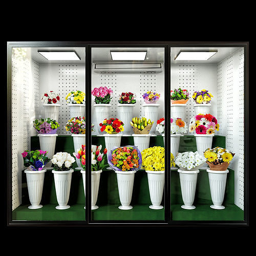 Flower shop 3D model | CGTrader
