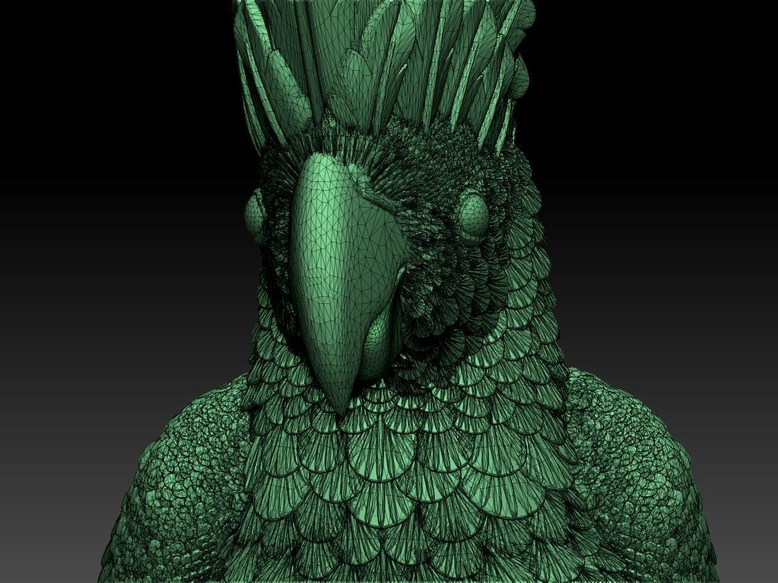 parrot cacadu 3D model 3D printable | CGTrader