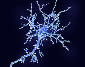 Nerve cell 3D Models | CGTrader
