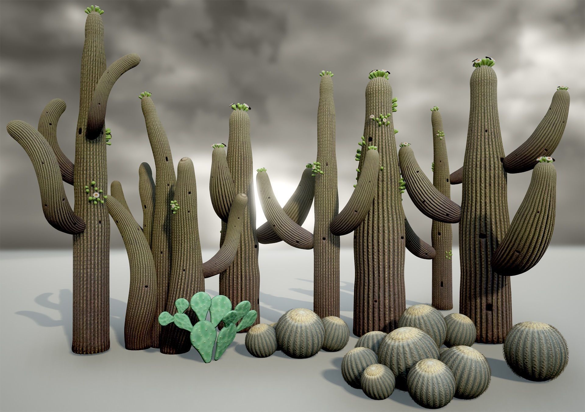 3D model cactus - Game Ready - VR AR VR / AR / low-poly | CGTrader