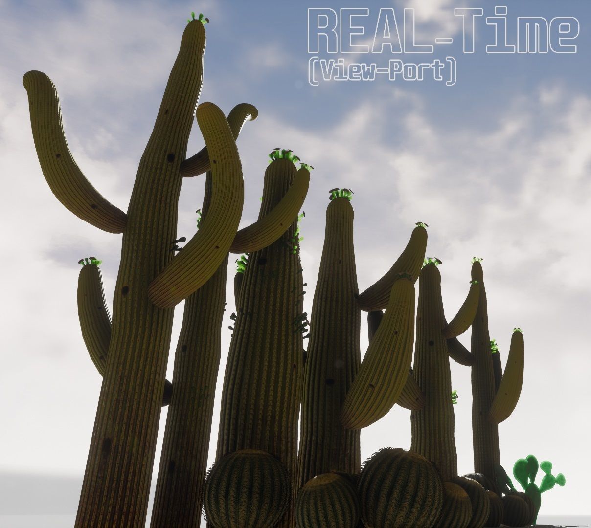 3D model cactus - Game Ready - VR AR VR / AR / low-poly | CGTrader