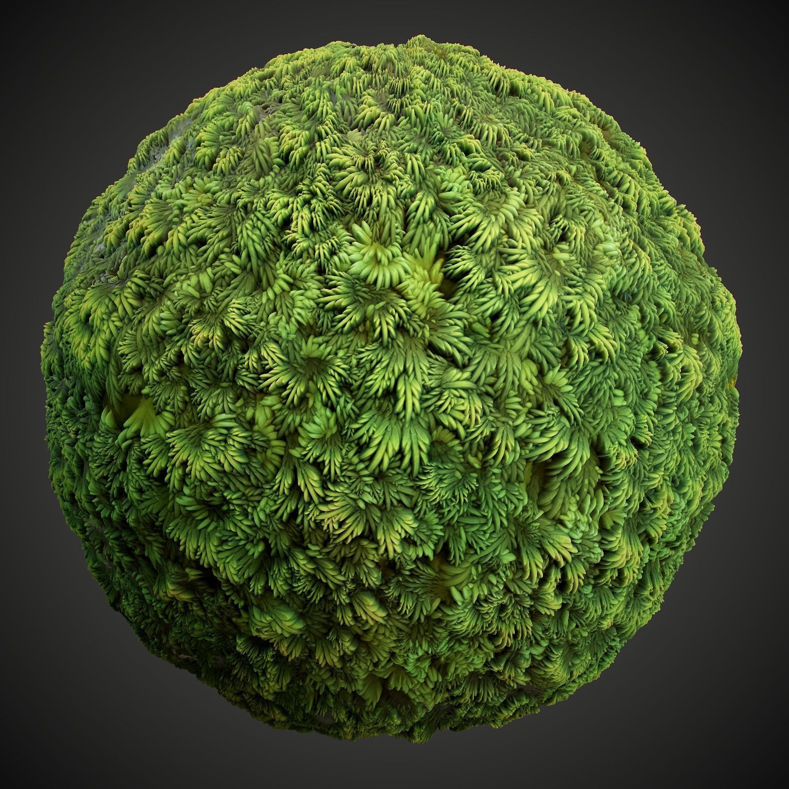 Stylized Summer Forest Materials Texture | CGTrader