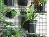 Wall Grid with Pot Plants 3D model | CGTrader