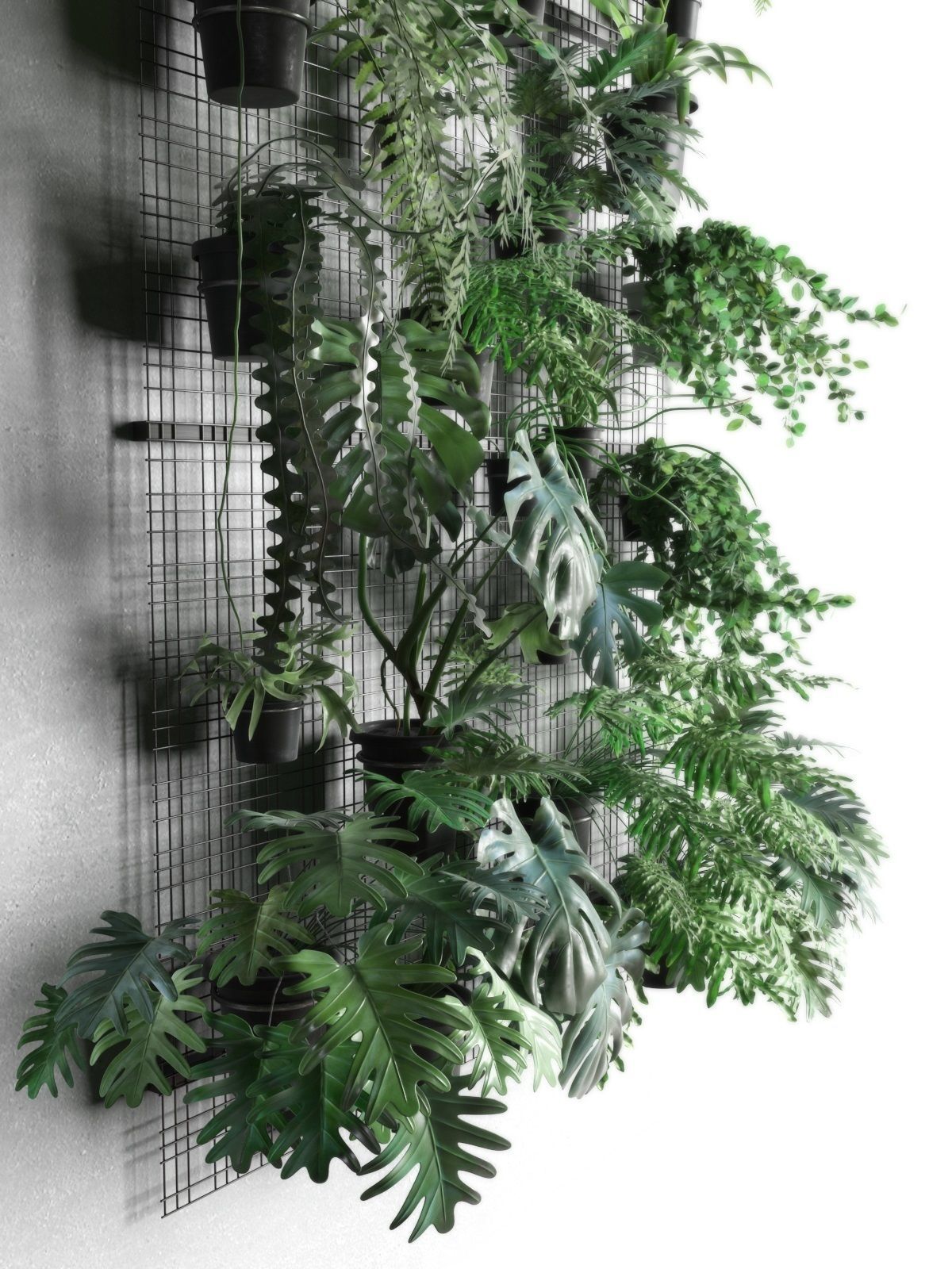 Wall Grid with Pot Plants 3D model | CGTrader