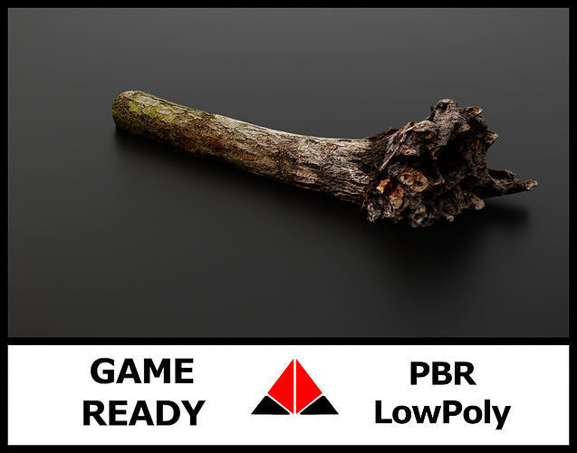 3D model Tree root VR / AR / low-poly | CGTrader