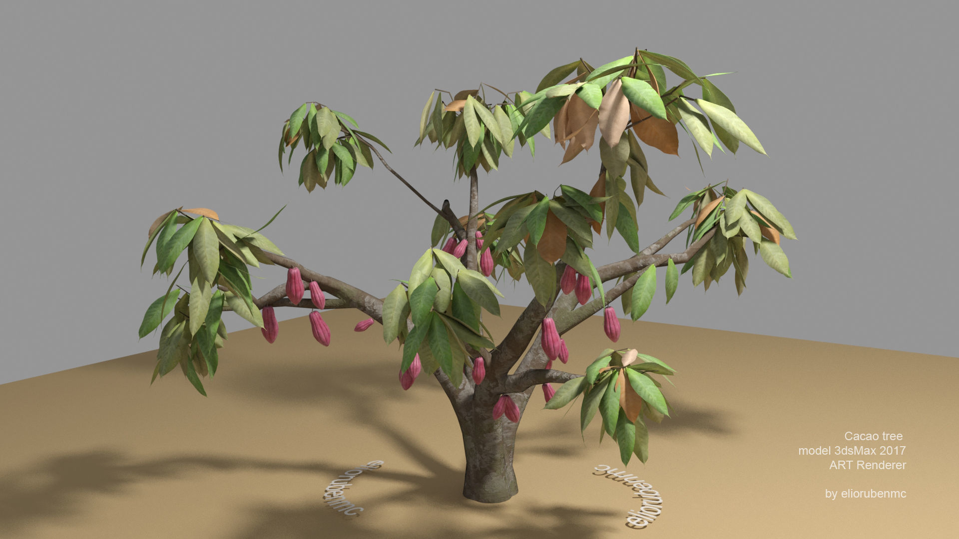 Cacao Tree type CCN51 with Fruit 3D model | CGTrader