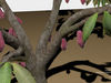 Cacao Tree type CCN51 with Fruit 3D model | CGTrader
