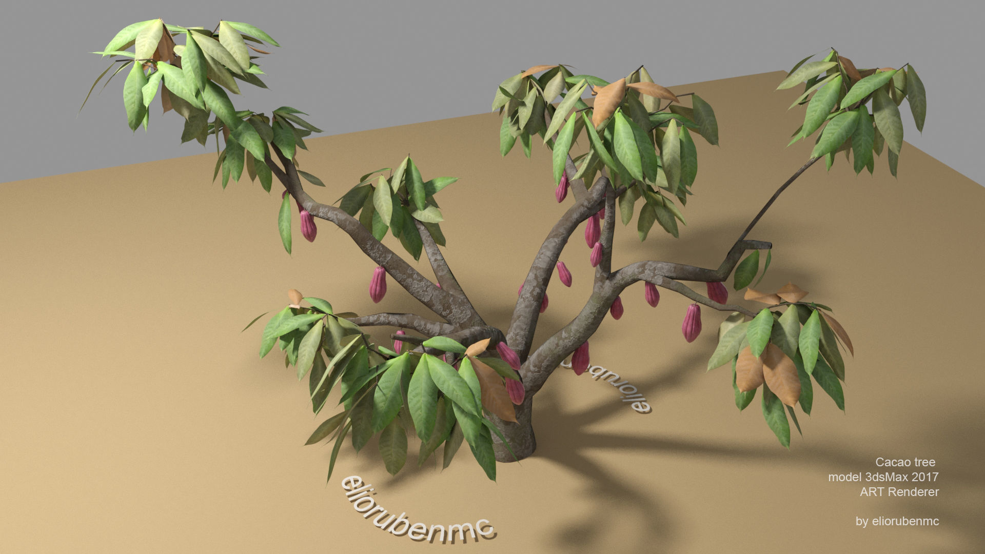 Cacao Tree type CCN51 with Fruit 3D model | CGTrader