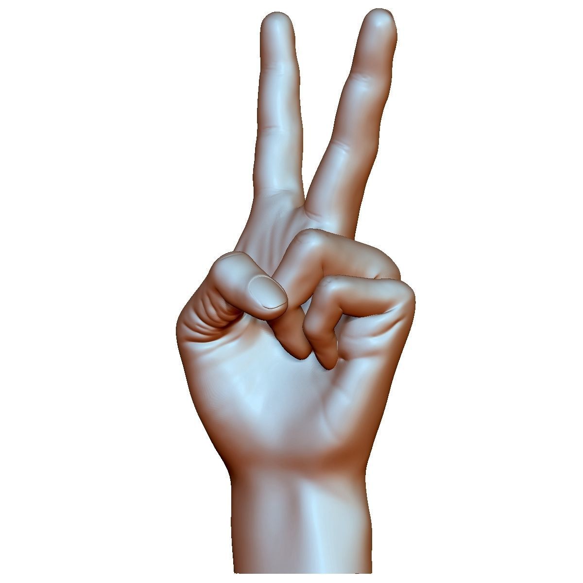 Victory sign hand male - 3D printable model 3D model 3D printable ...