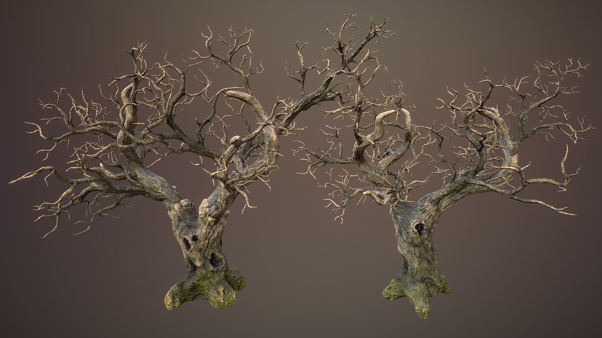 3D model Dried trees VR / AR / low-poly | CGTrader
