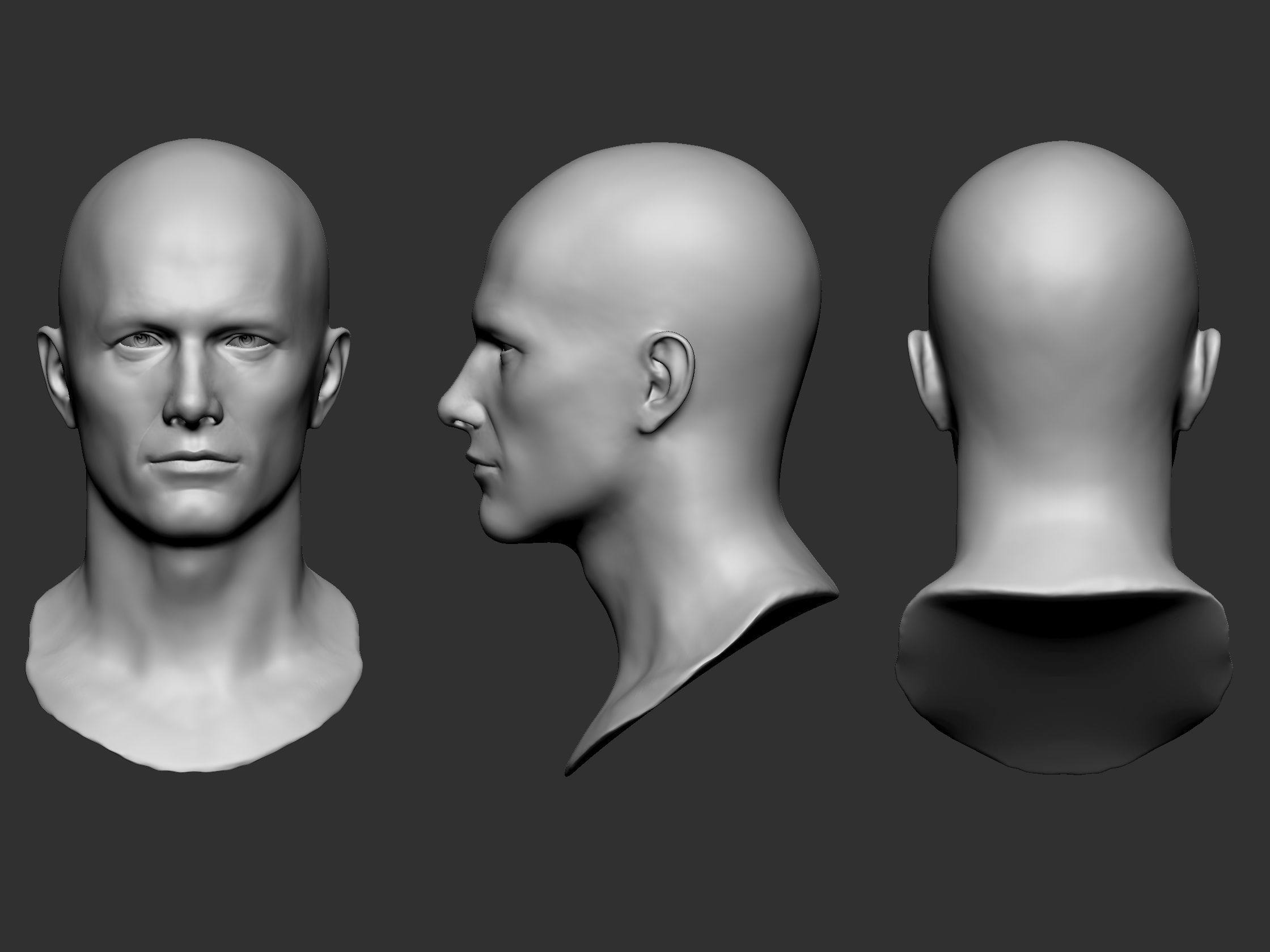Male Head Sculpt 01 3D model | CGTrader