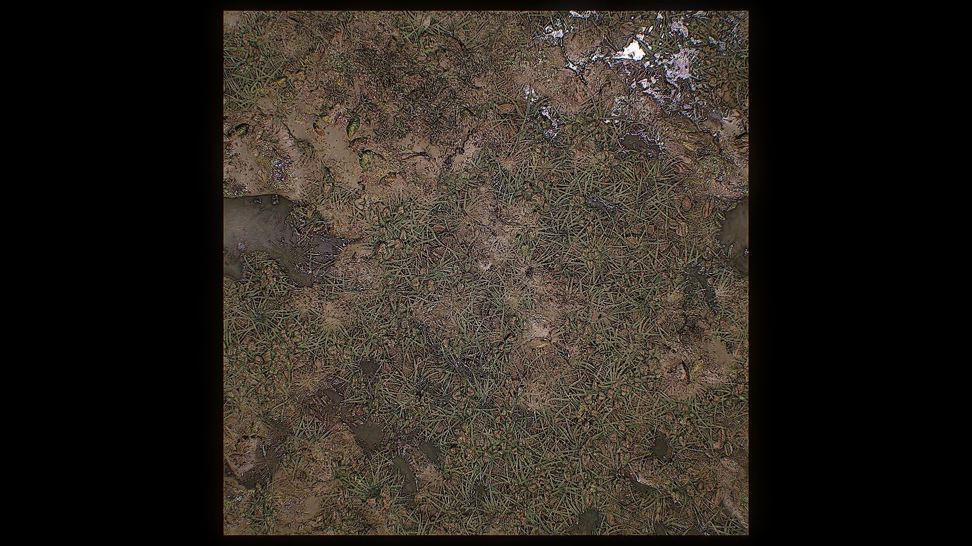 Texture Ultimate Texture Library - Jungle VR / AR / low-poly | CGTrader