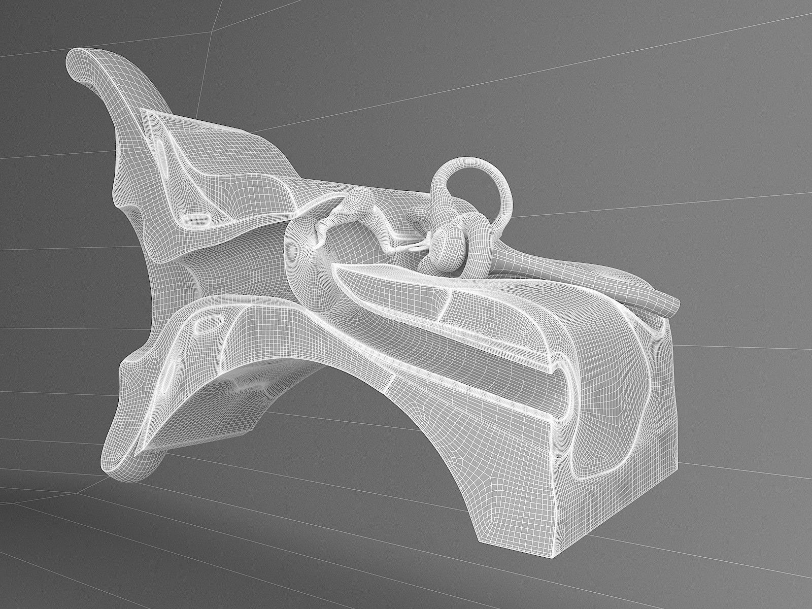 Inner ear 3D model animated | CGTrader