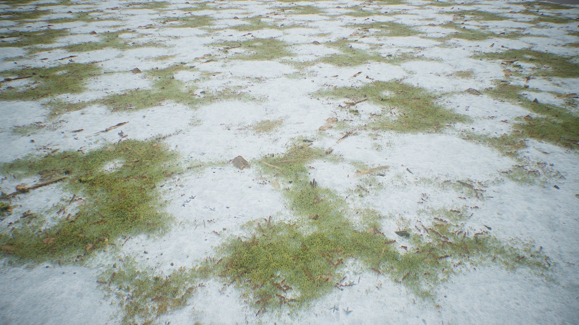 Texture Ultimate Texture Library - Grasslands VR / AR / low-poly | CGTrader