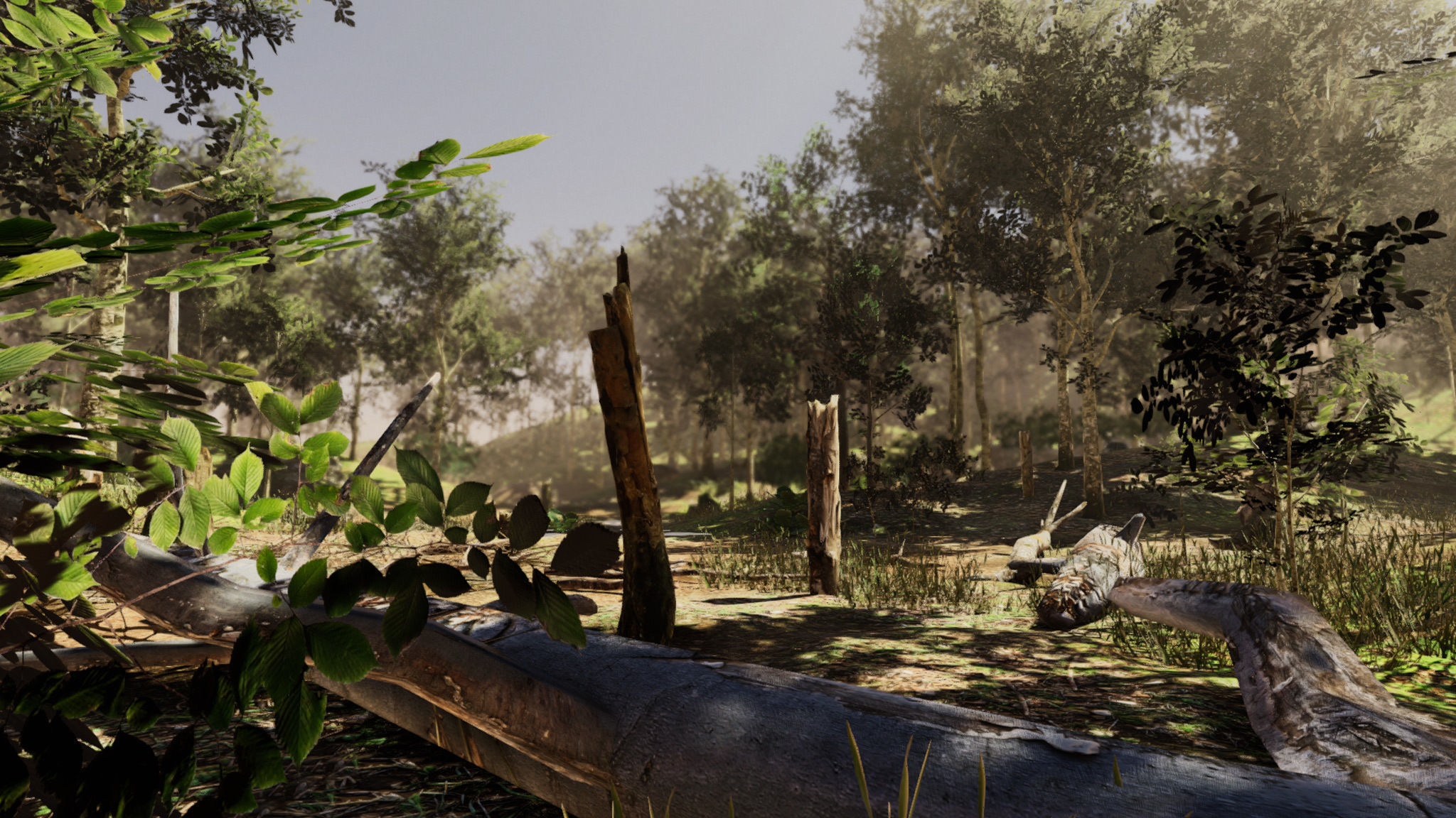 3D model Beech Trees in 3 seasons VR / AR / low-poly | CGTrader