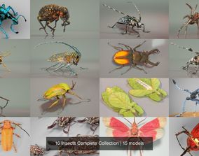 Insect 3D Models | CGTrader