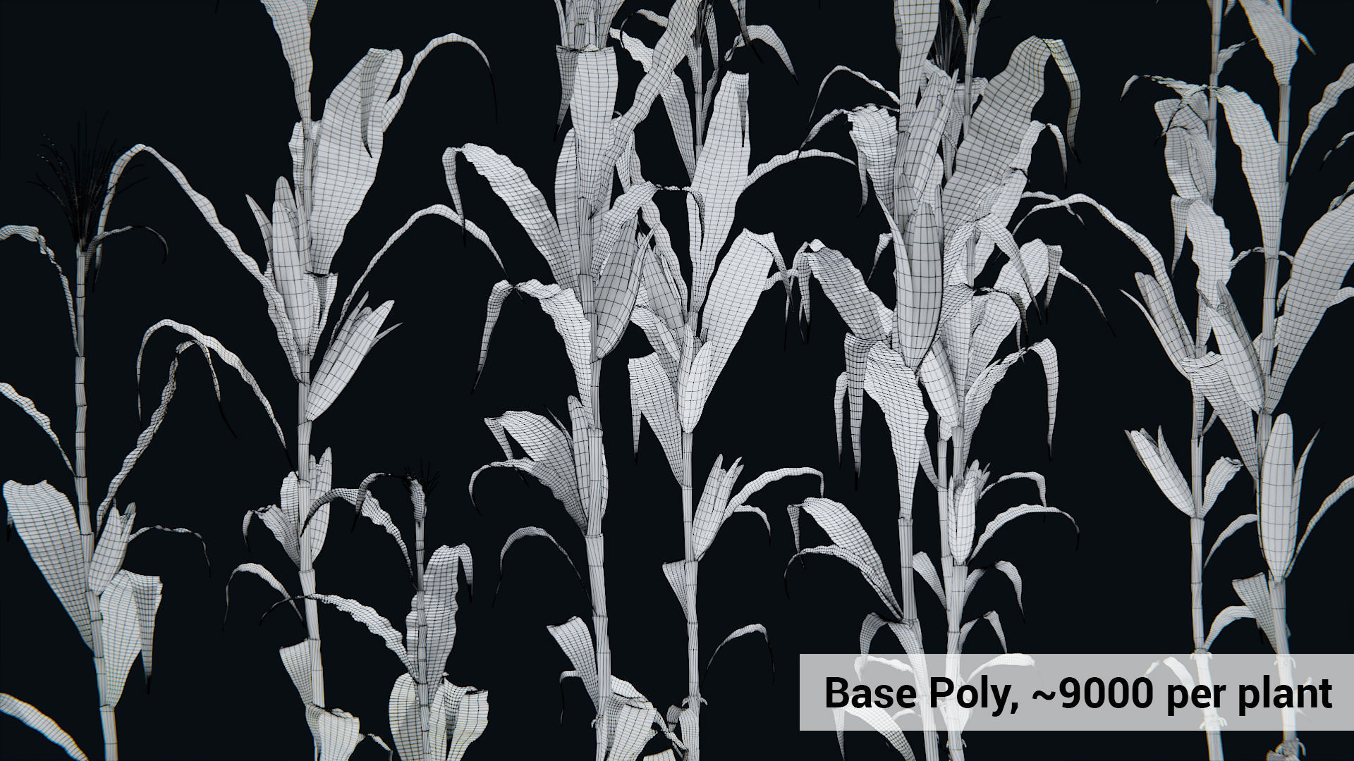 3D model Corn Plants 15 Types in 5 Ages - PBR AssetKit VR / AR / low ...