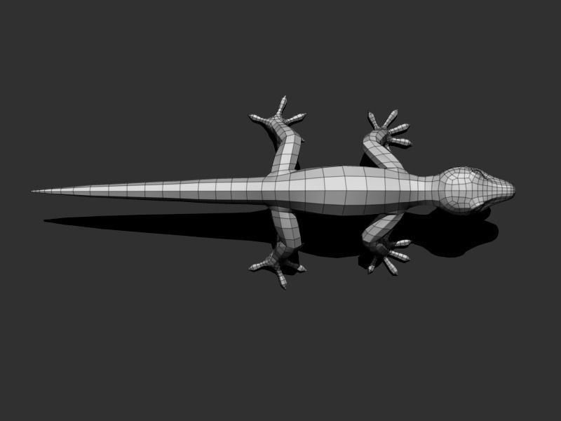 3D model 3D Gecko VR / AR / low-poly animated | CGTrader