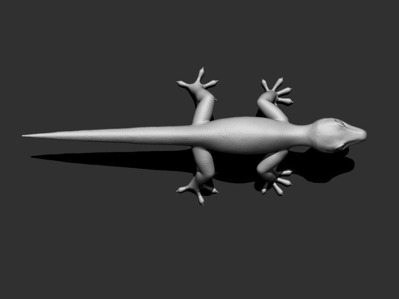 3D model 3D Gecko VR / AR / low-poly animated | CGTrader