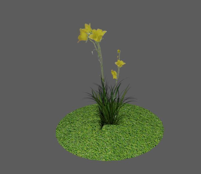 3D model Low Poly Flower Alpha model VR / AR / low-poly | CGTrader